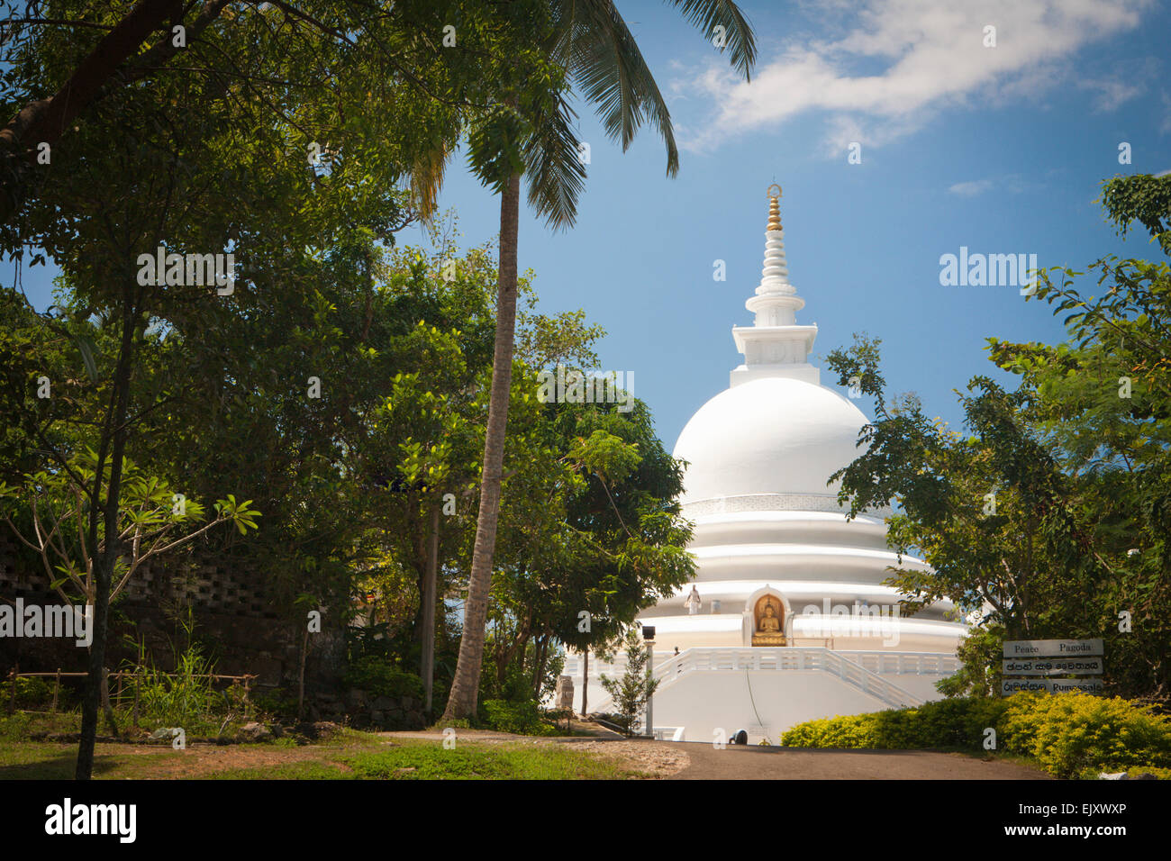 UNAWATUNA PEACE PAGODA ON THE RUMASSALA HILLSIDE Stock Photo - Alamy