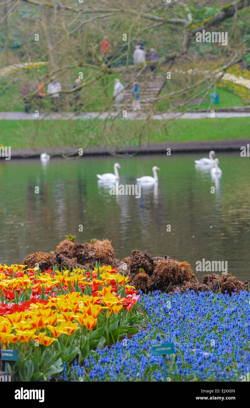 Keukenhof gardens curve hi-res stock photography and images - Alamy