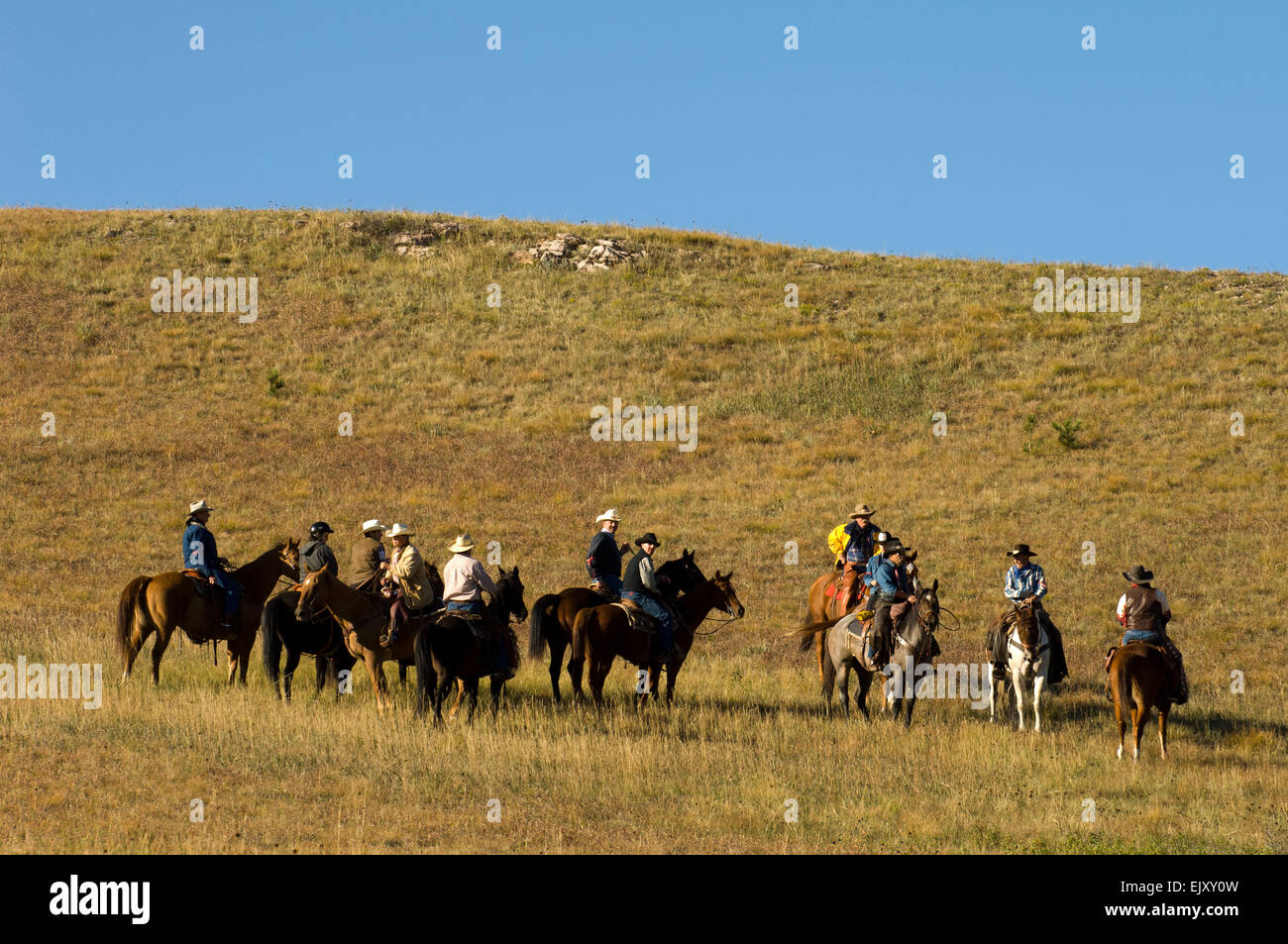 Cowboys at Bison Roundup, Custer State Park, Black Hills, South Dakota ...