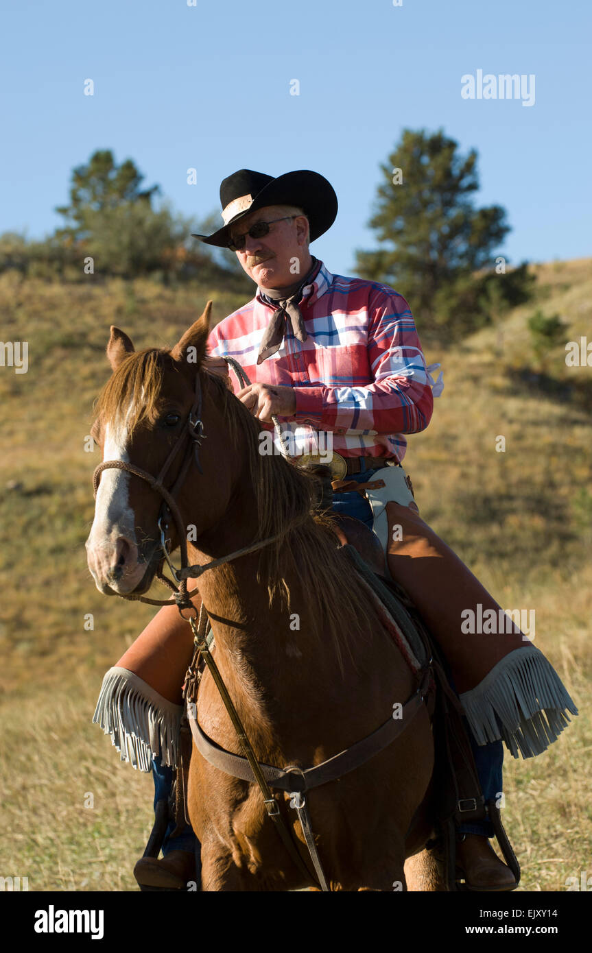 Cowboy at Bison Roundup, Custer State Park, Black Hills, South Dakota ...