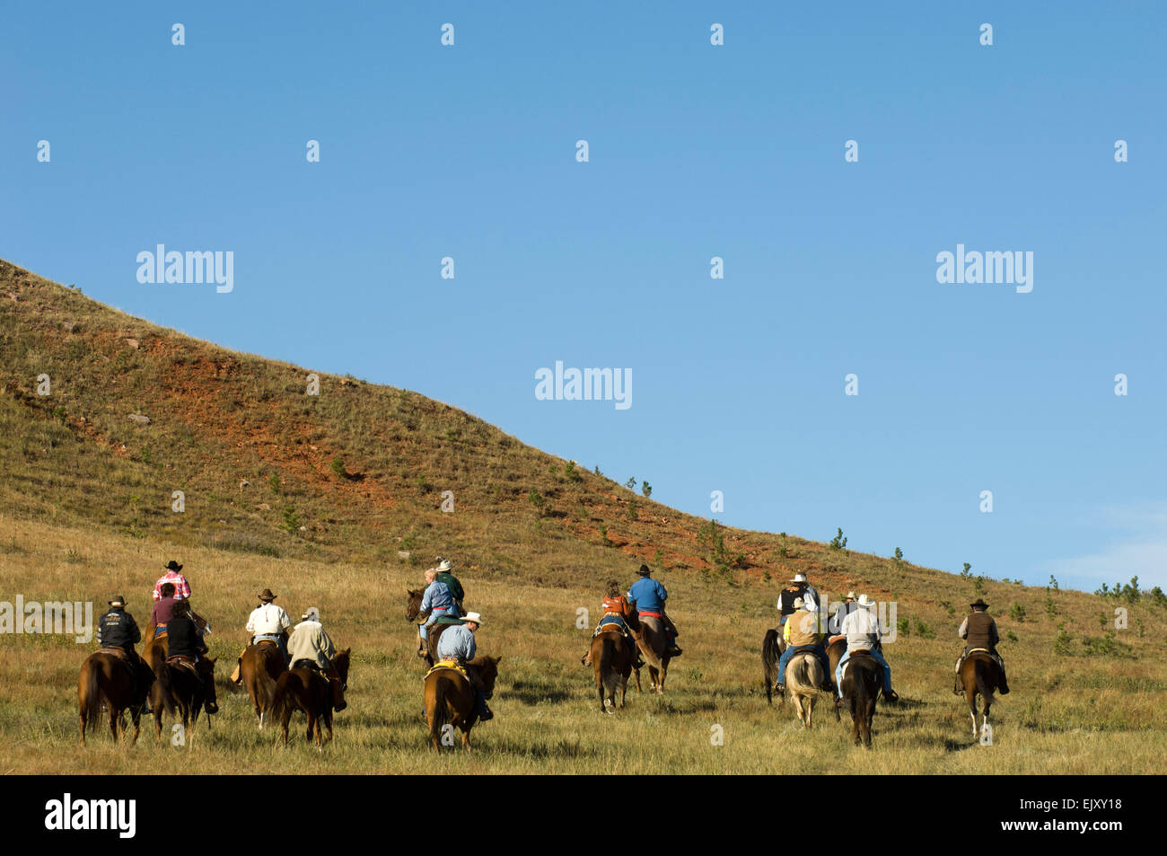 Cowboys at Bison Roundup, Custer State Park, Black Hills, South Dakota ...
