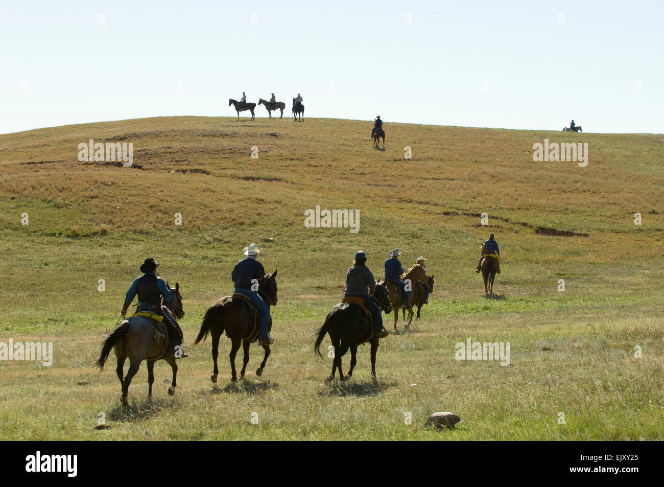 Cowboys at Bison Roundup, Custer State Park, Black Hills, South Dakota ...