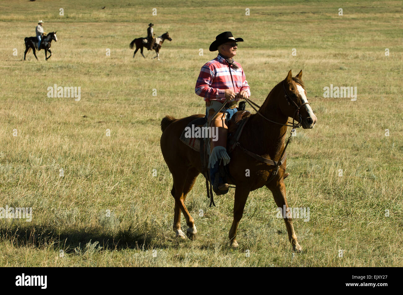 Cowboys at Bison Roundup, Custer State Park, Black Hills, South Dakota ...