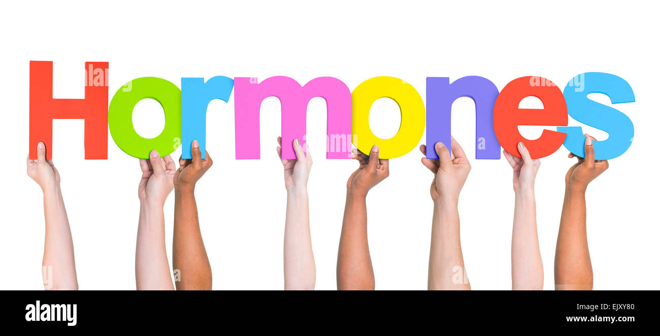 Human hormones hi-res stock photography and images - Alamy