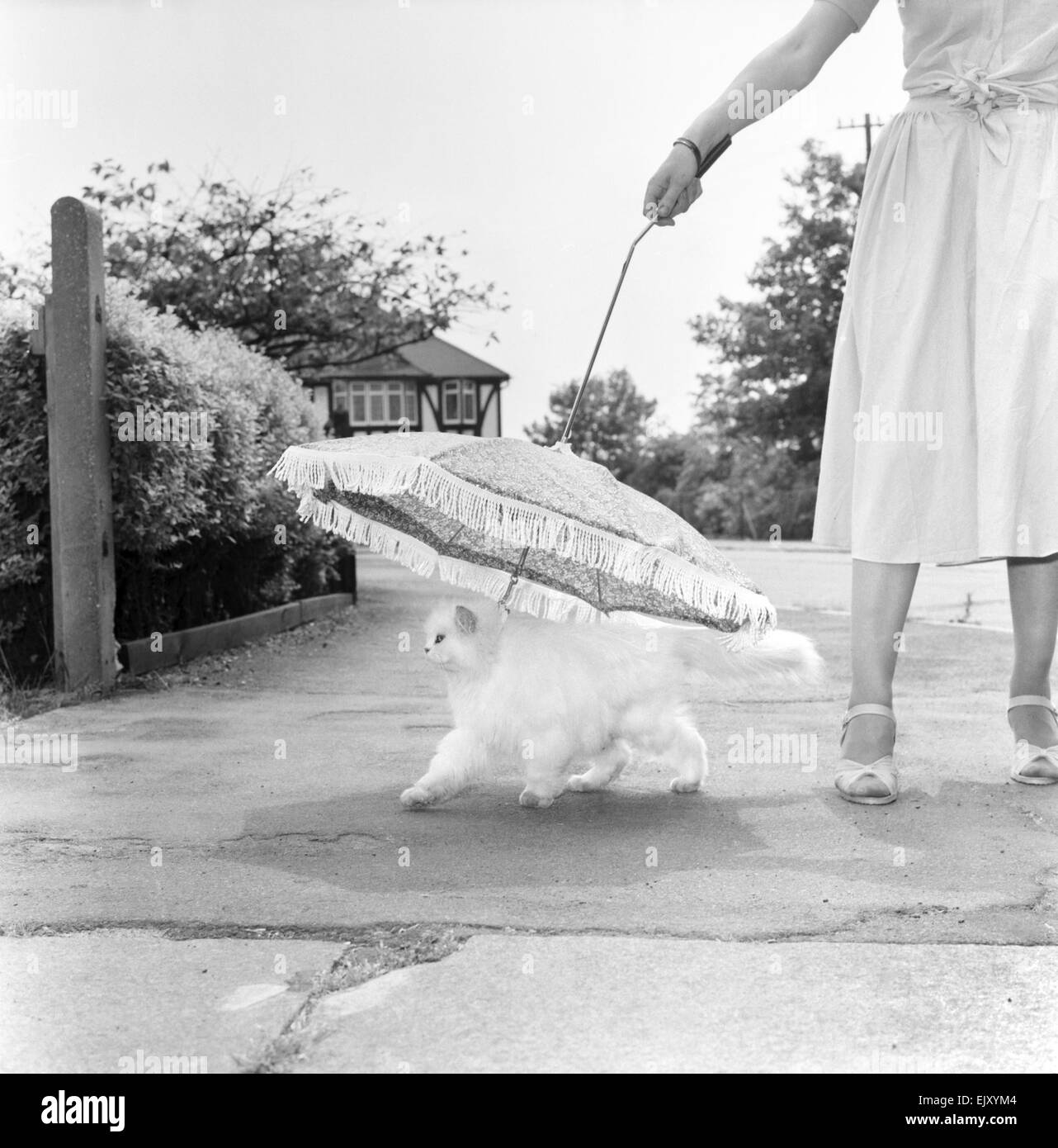 The best photos Black and White Stock Photos & Images - Alamy