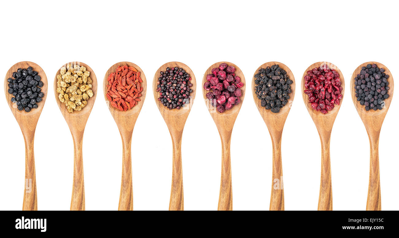 healthy dried berry collection (blueberry, mulberry, cherry, goji ...