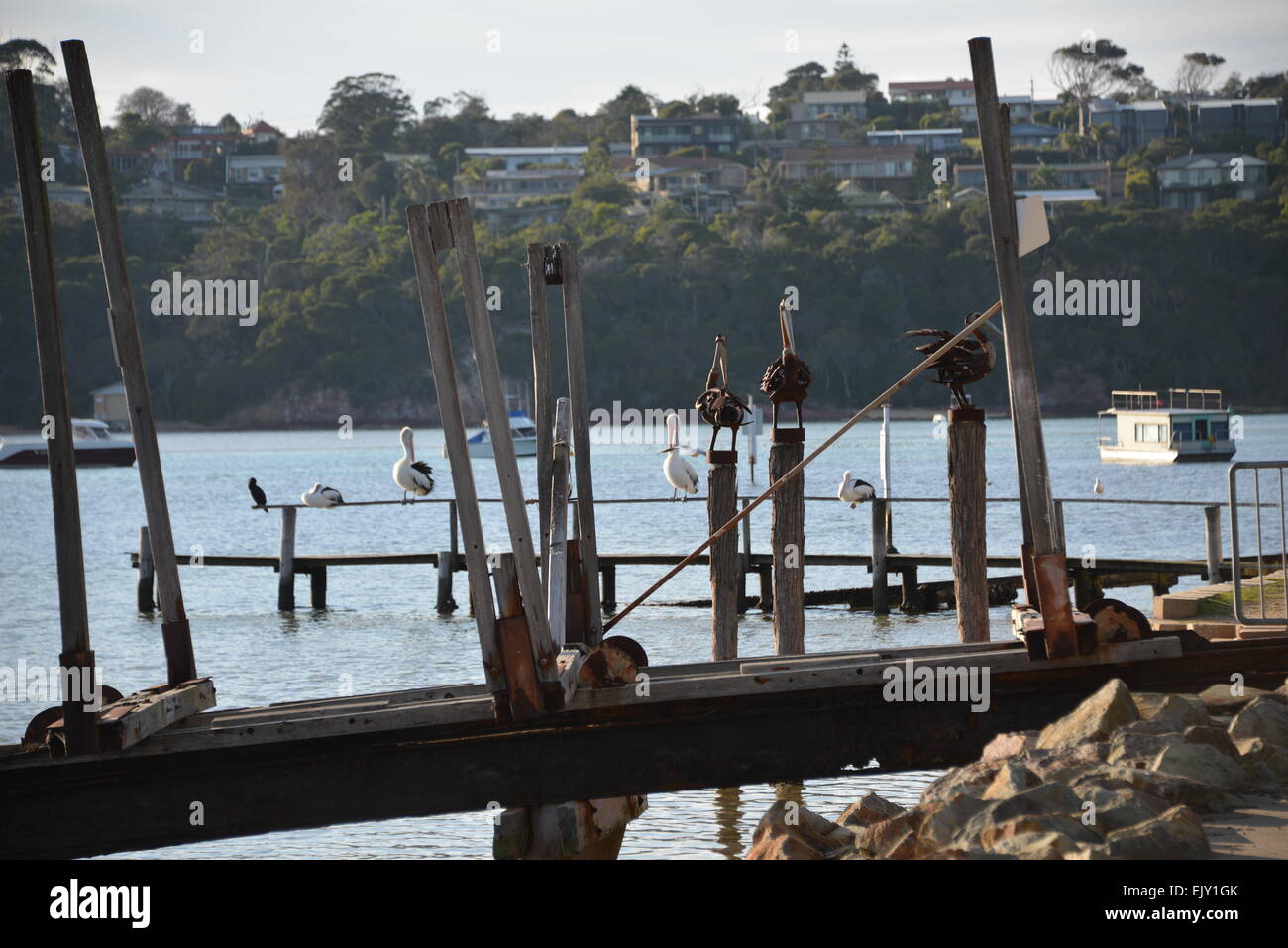 Pelican sitting on fence on harbour Merimbula harbour on the sapphire ...
