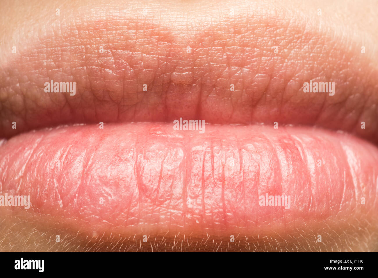 Woman Natural Lips Macro Stock Photo - Alamy