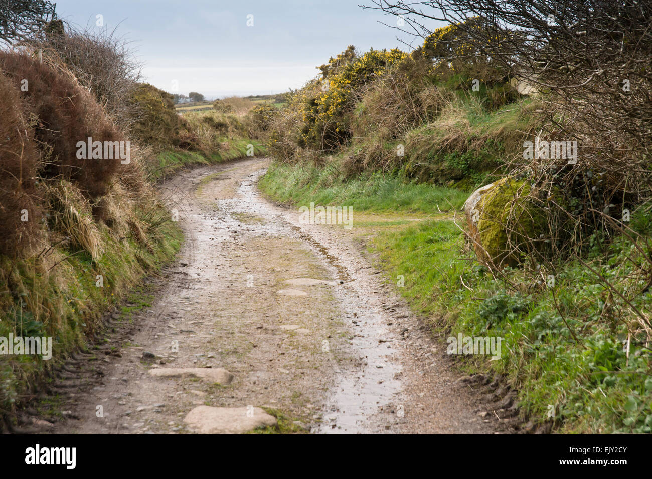 The Ding Dong Tin Mine Madron Cornwall England UK Stock Photo - Alamy