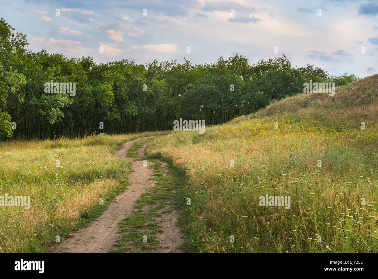 Evening landscape in Ukrainian rural area at summer season Stock Photo ...