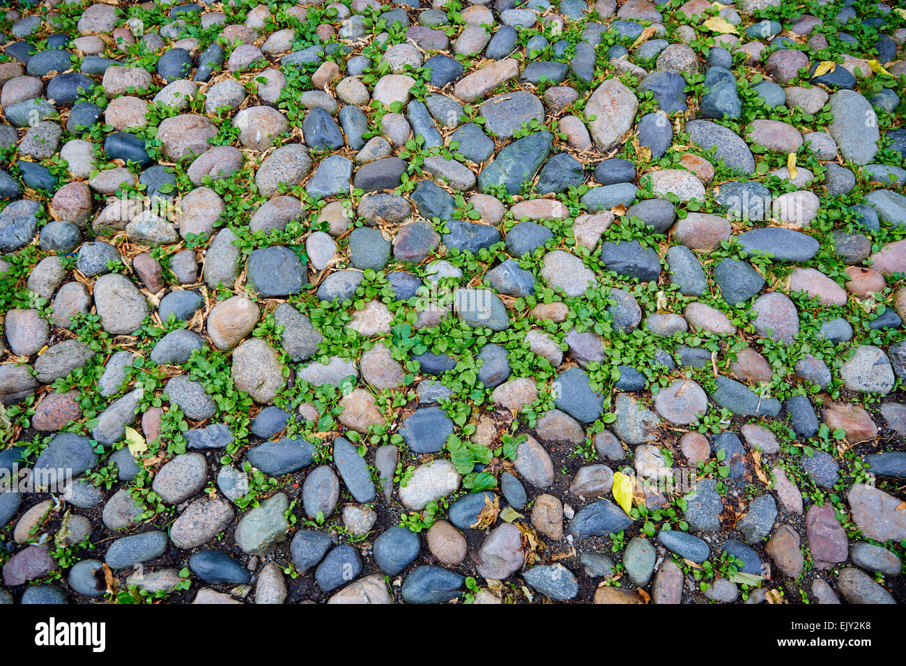 Acorn street Beacon Hill cobblestone soil detail Boston in ...