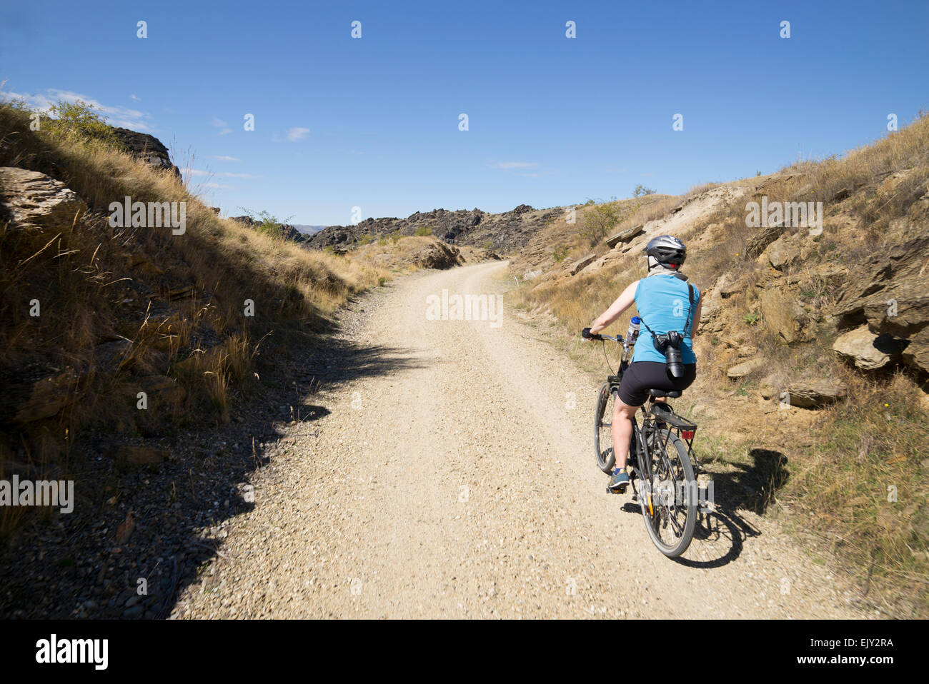 Female cyclist cycling the Otago Bike Trail, south island, New Zealand ...