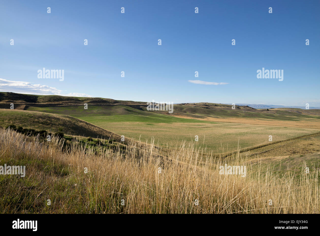 Maniototo plains hi-res stock photography and images - Alamy