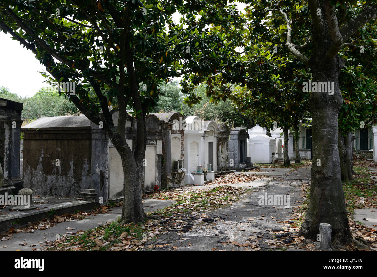 New orleans cemetery hi-res stock photography and images - Alamy