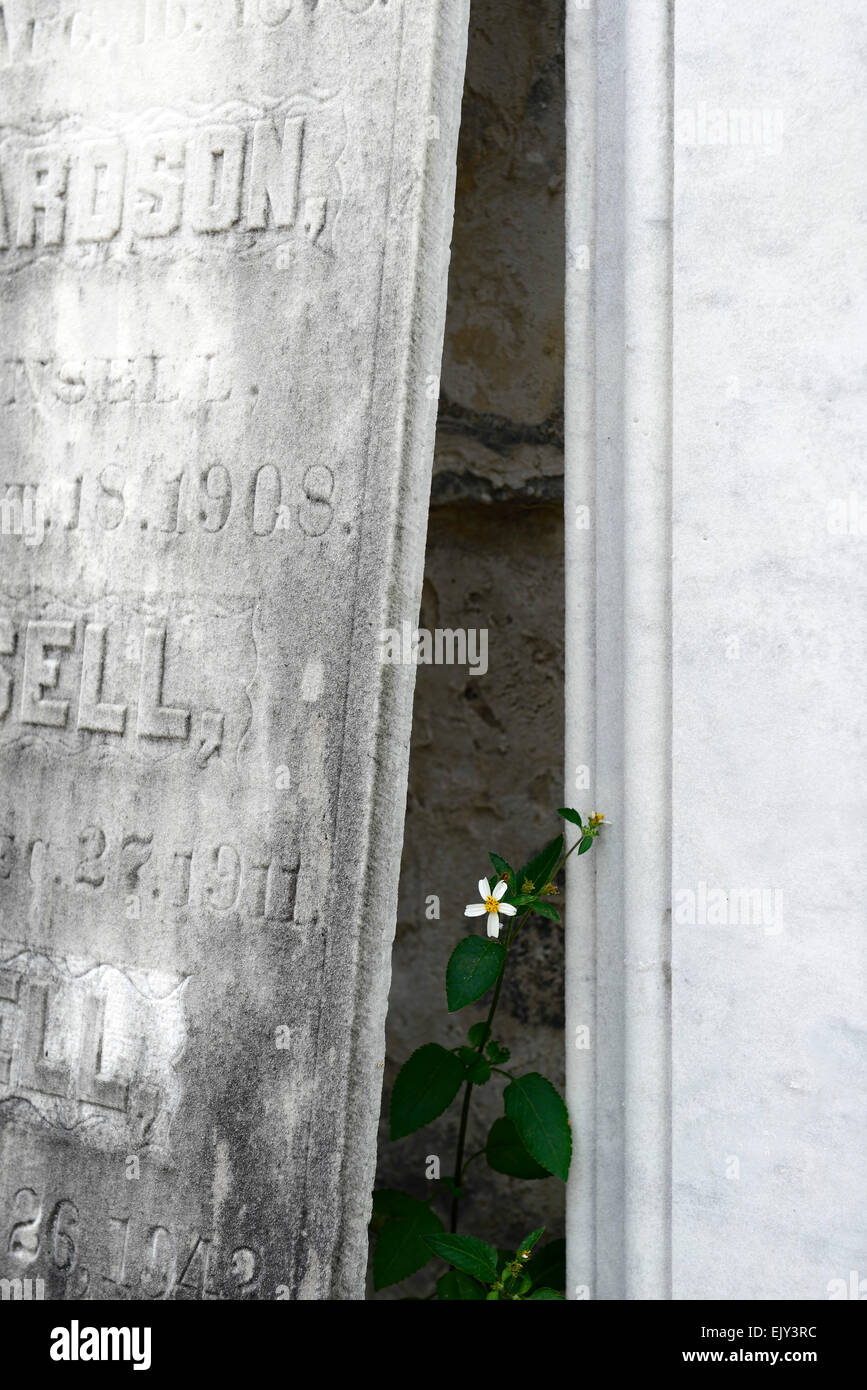 Above Ground Grave High Resolution Stock Photography and Images - Alamy