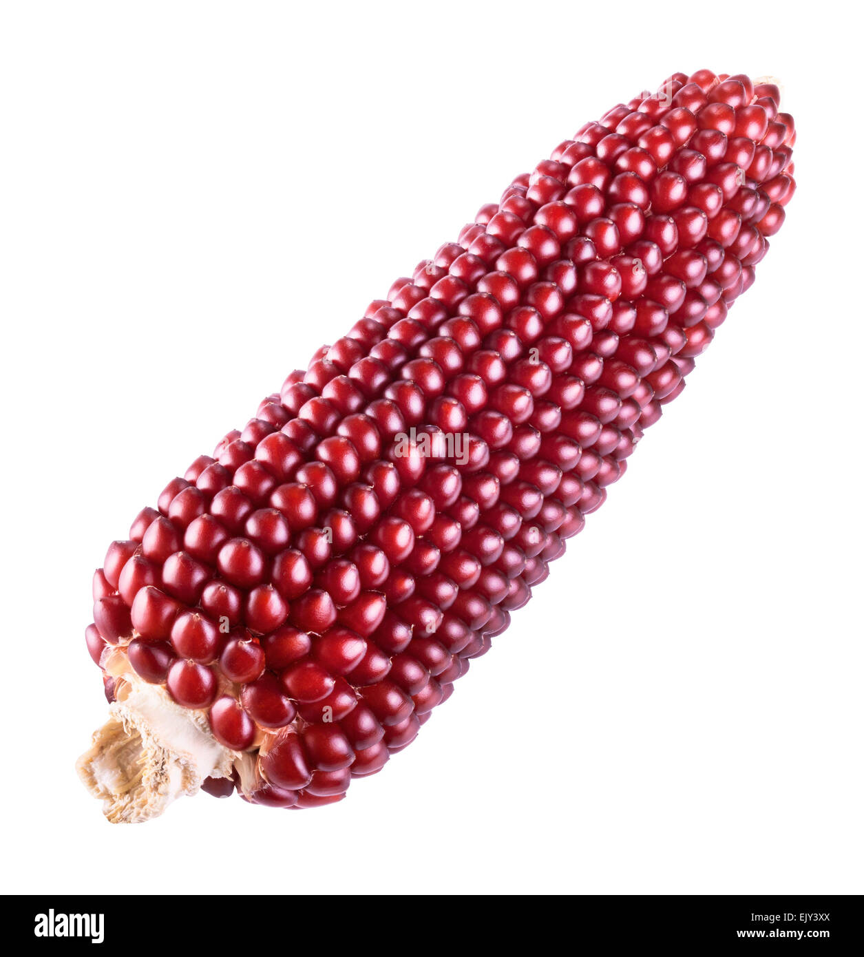 Traditional indian agriculture Cut Out Stock Images & Pictures - Alamy