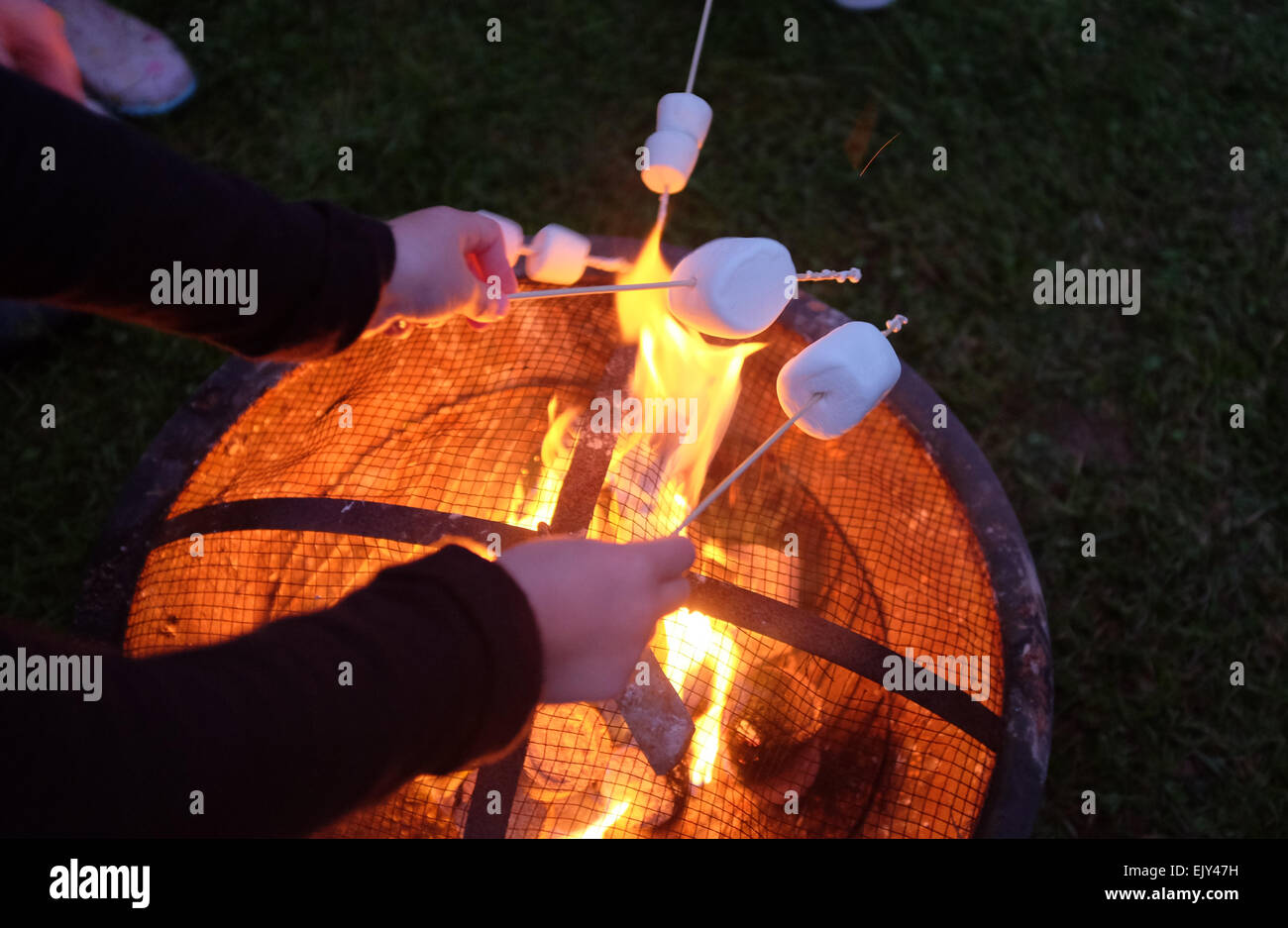 children toasting marshmallows over a campfire Stock Photo - Alamy