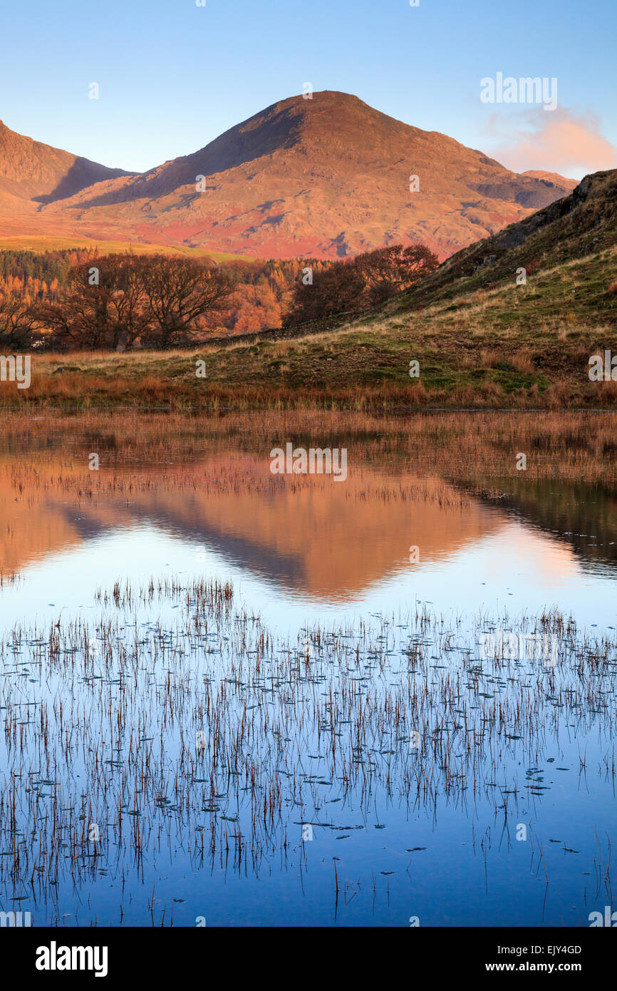 Kelly hall tarn torver lake hi-res stock photography and images - Alamy