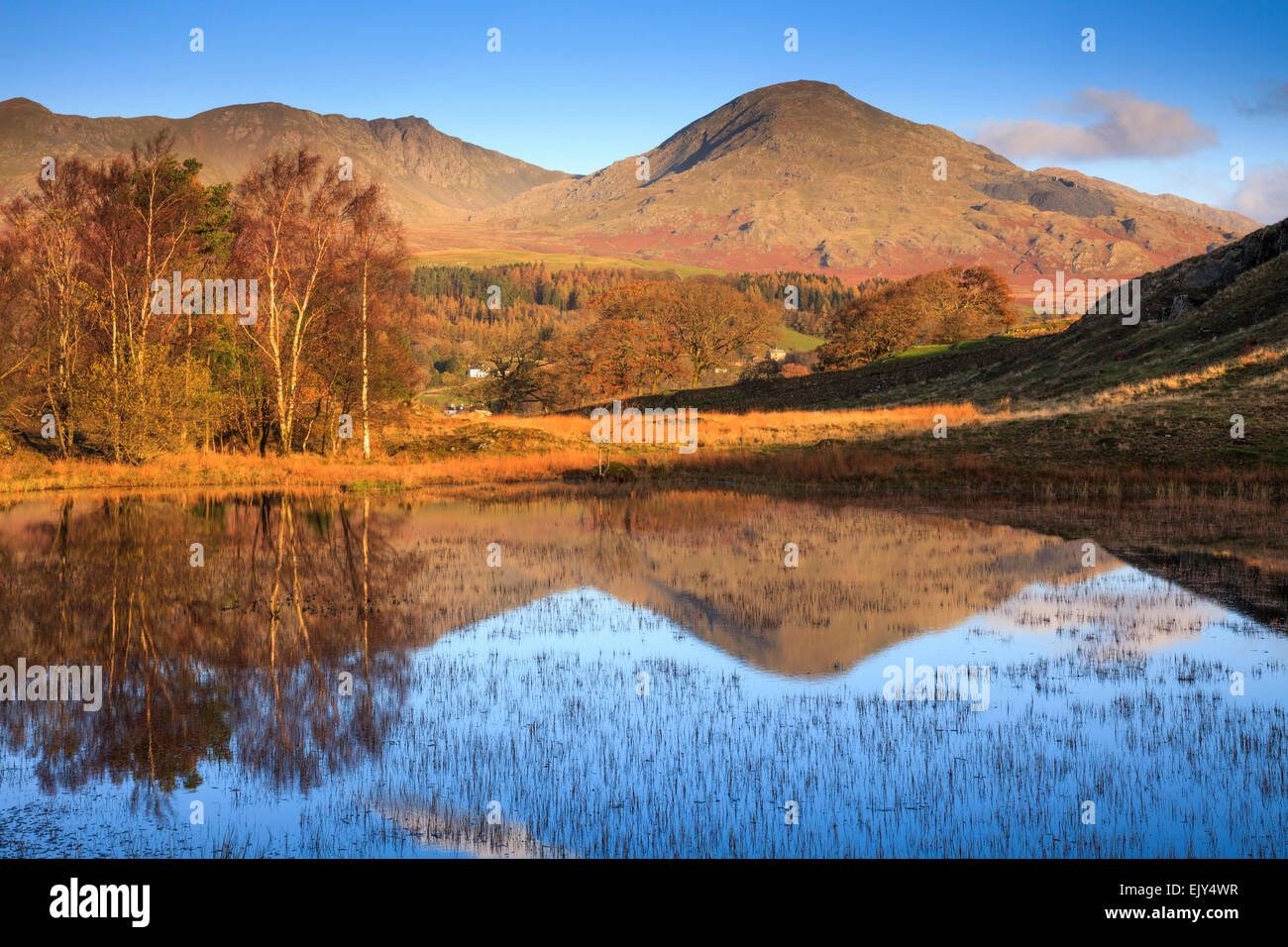 Kelly Hall Tarn near Torver in the Lake District National Park with the ...