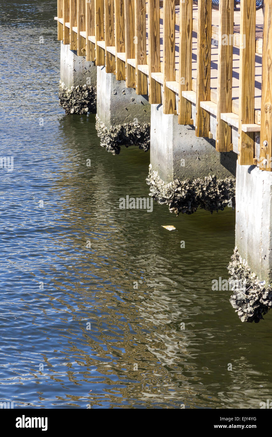 Piling River High Resolution Stock Photography and Images - Alamy
