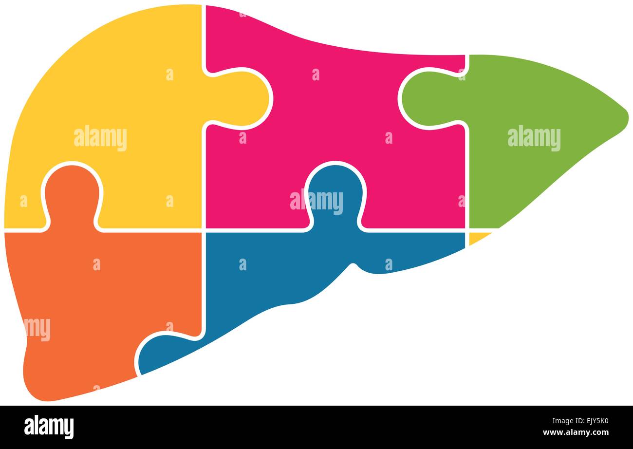 Hepatic cell Stock Vector Images - Alamy