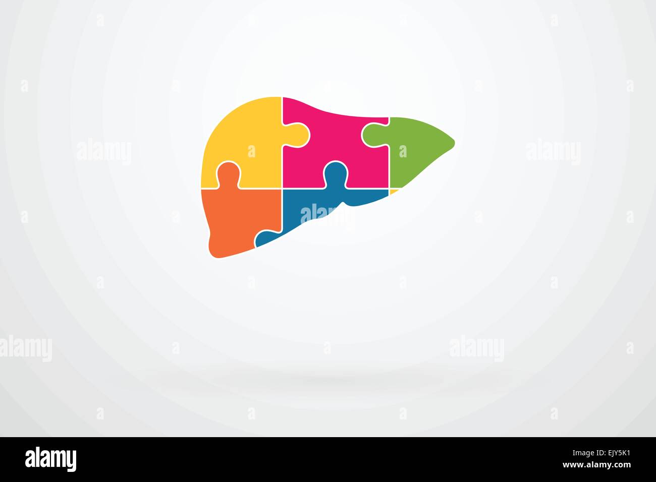 Human Liver Jigsaw Puzzle Pieces Abstract Vector Stock Vector Image ...