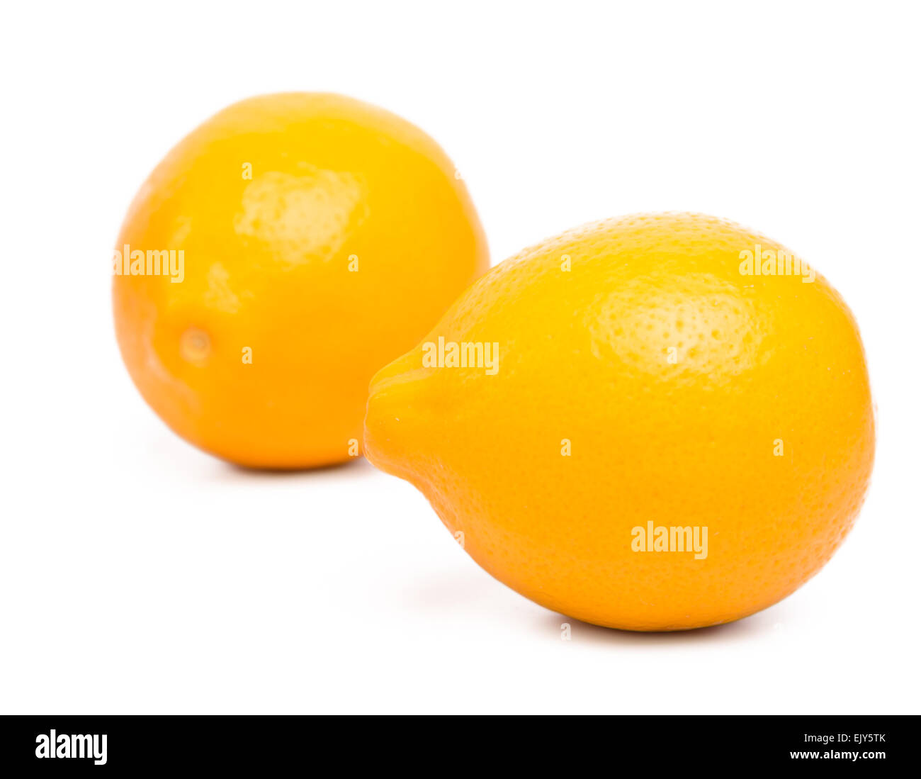 full ripe lemons on a white background Stock Photo - Alamy
