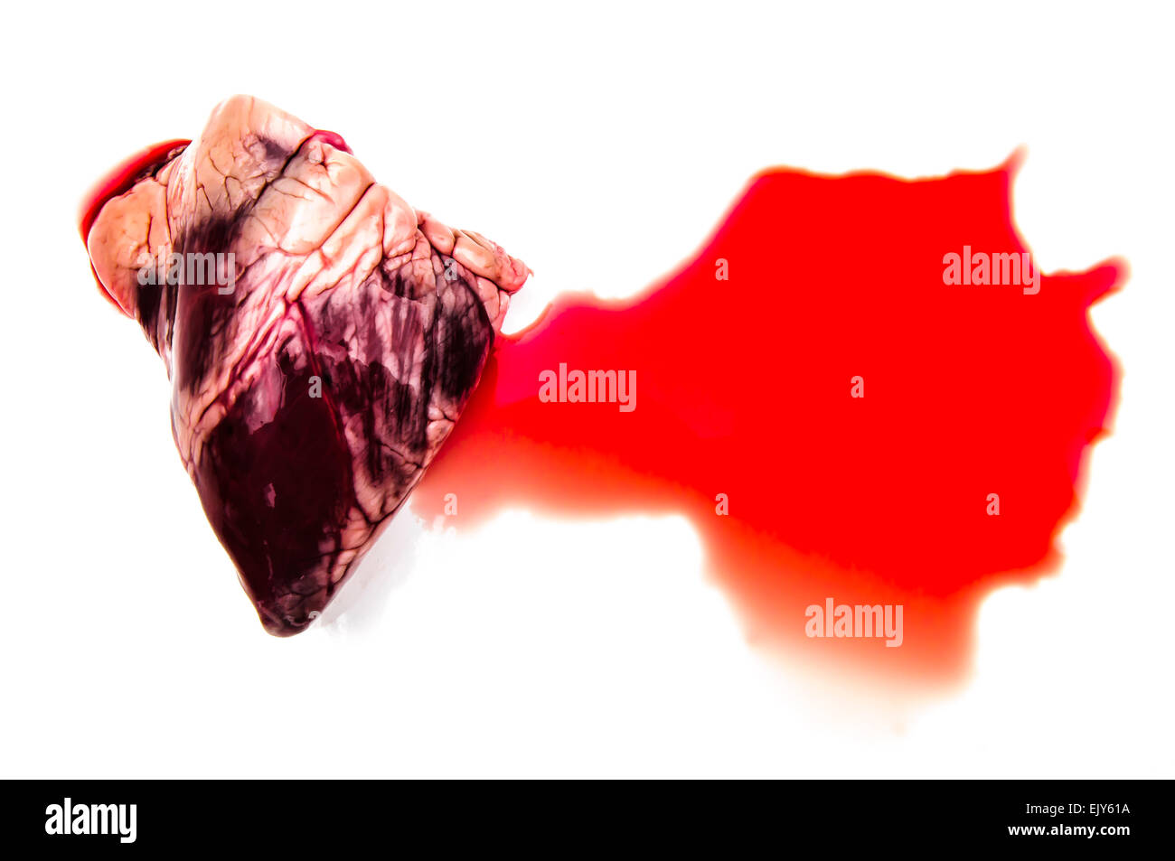 Circulation heart blood artery Cut Out Stock Images & Pictures - Alamy