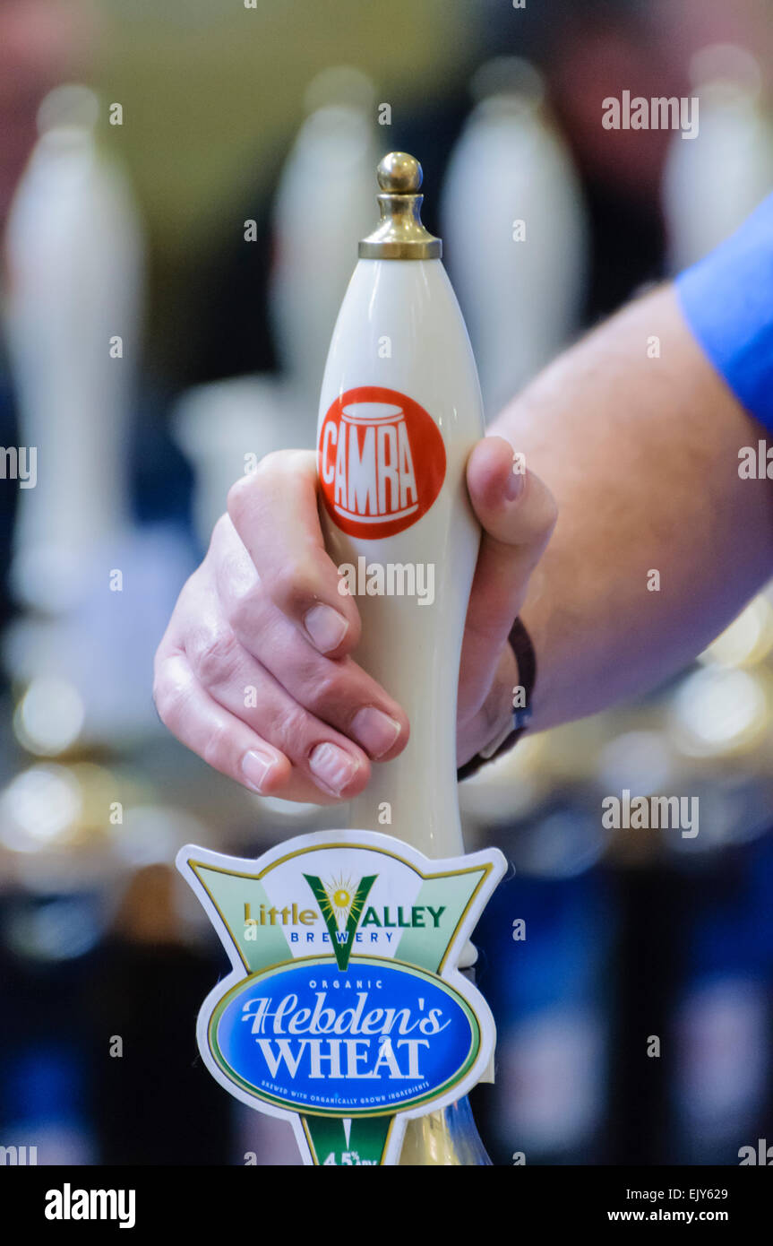 A man pulls a pint of Hebden's Wheat beer at a CAMRA real ale festival ...