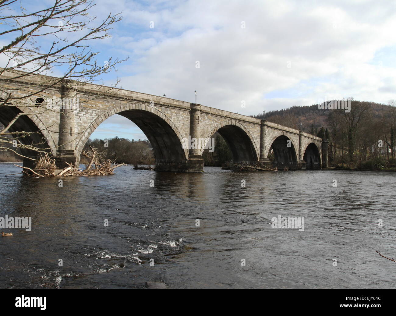Dunkeld Tree Stock Photos & Dunkeld Tree Stock Images - Alamy