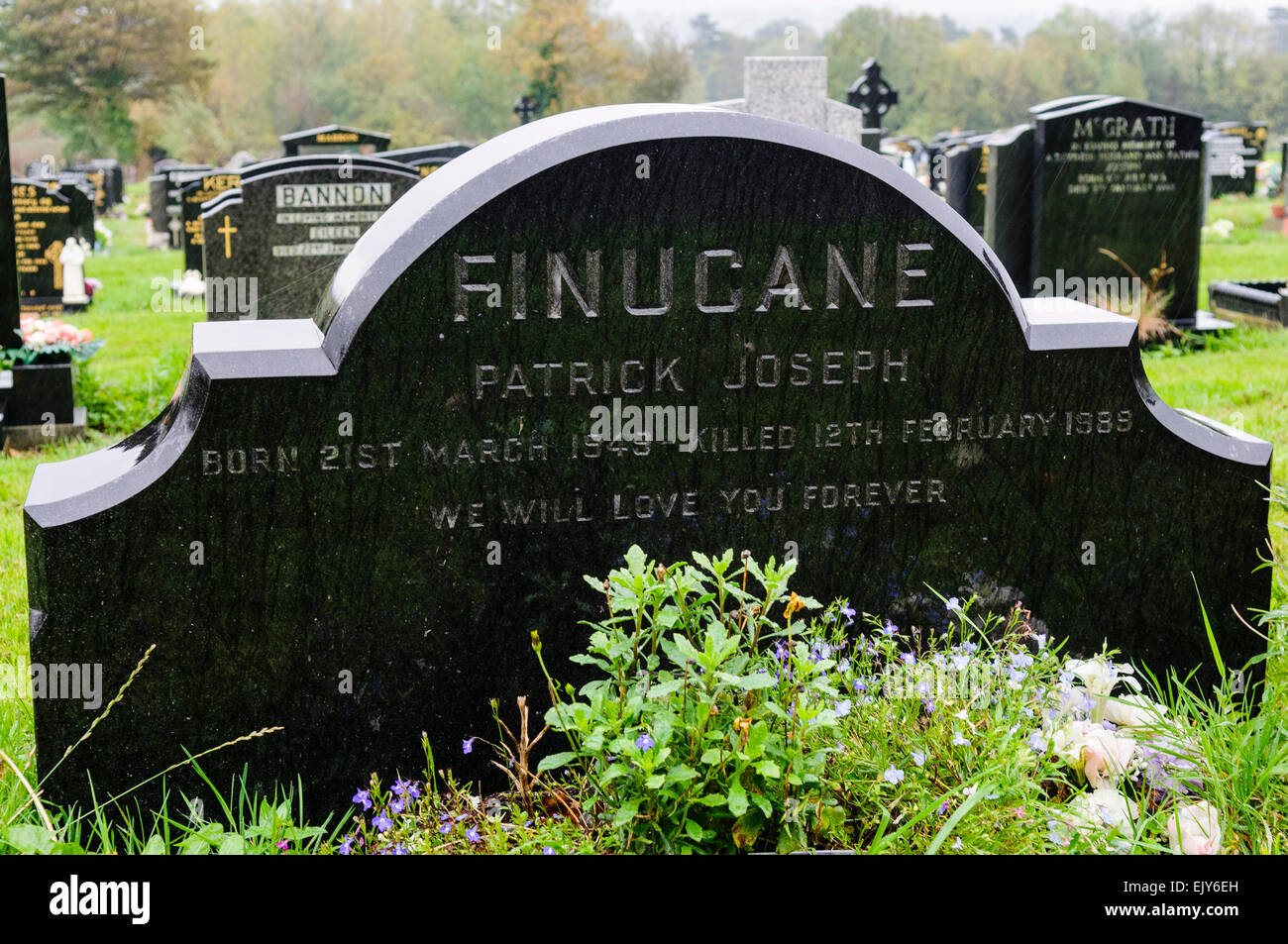 Grave of Belfast Solicitor Pat Finucane, killed by the UFF, 27/02/1988 ...