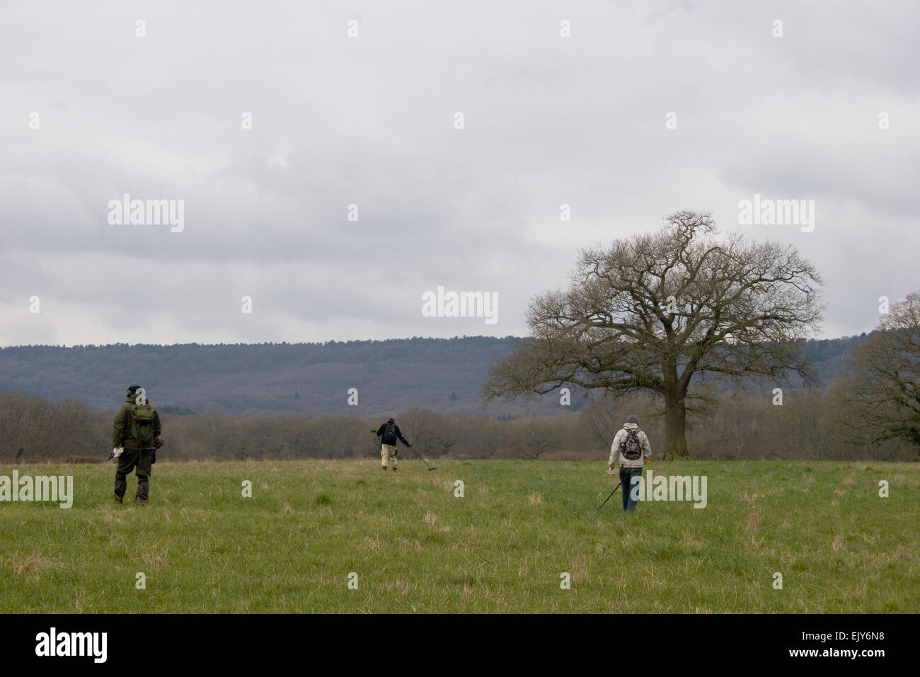 metal detecting field searching Stock Photo - Alamy