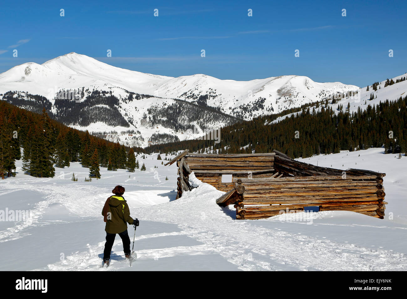 Snow-covered Jacque Peak and snowshoer at ruined log cabin, Boston Mine ...