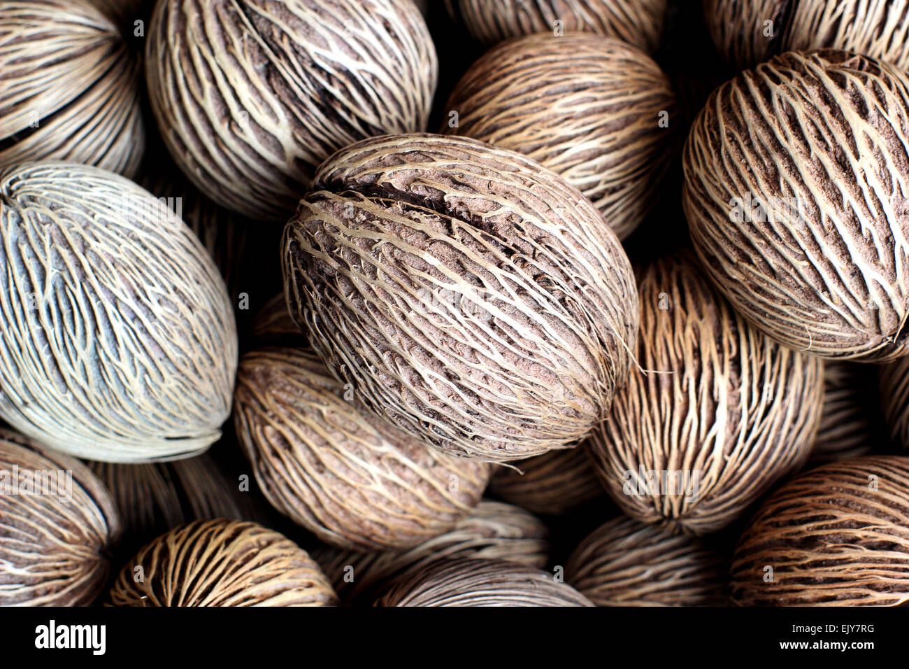 Pong pong seed as background Stock Photo - Alamy