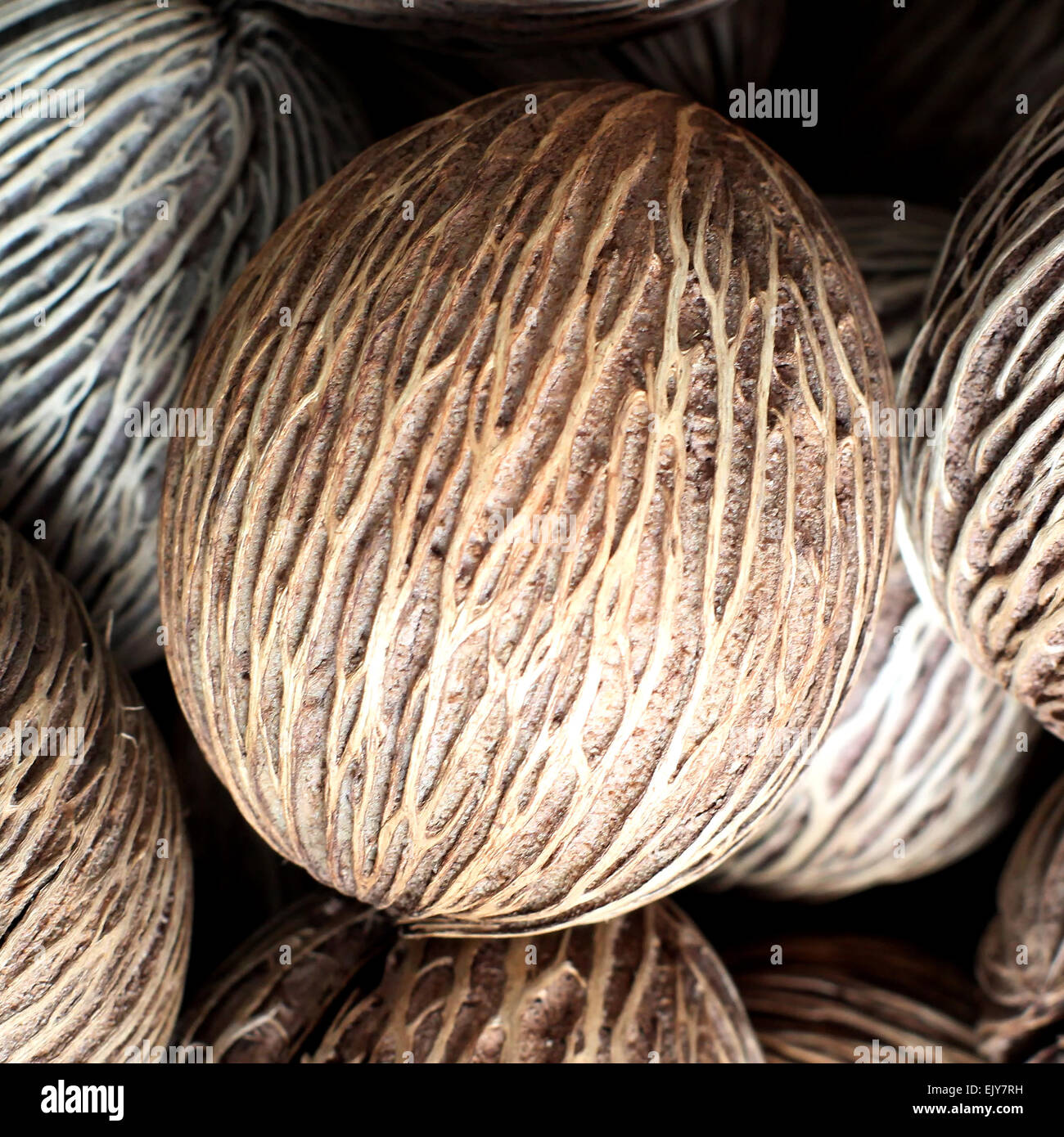 Pong pong seed as background Stock Photo - Alamy
