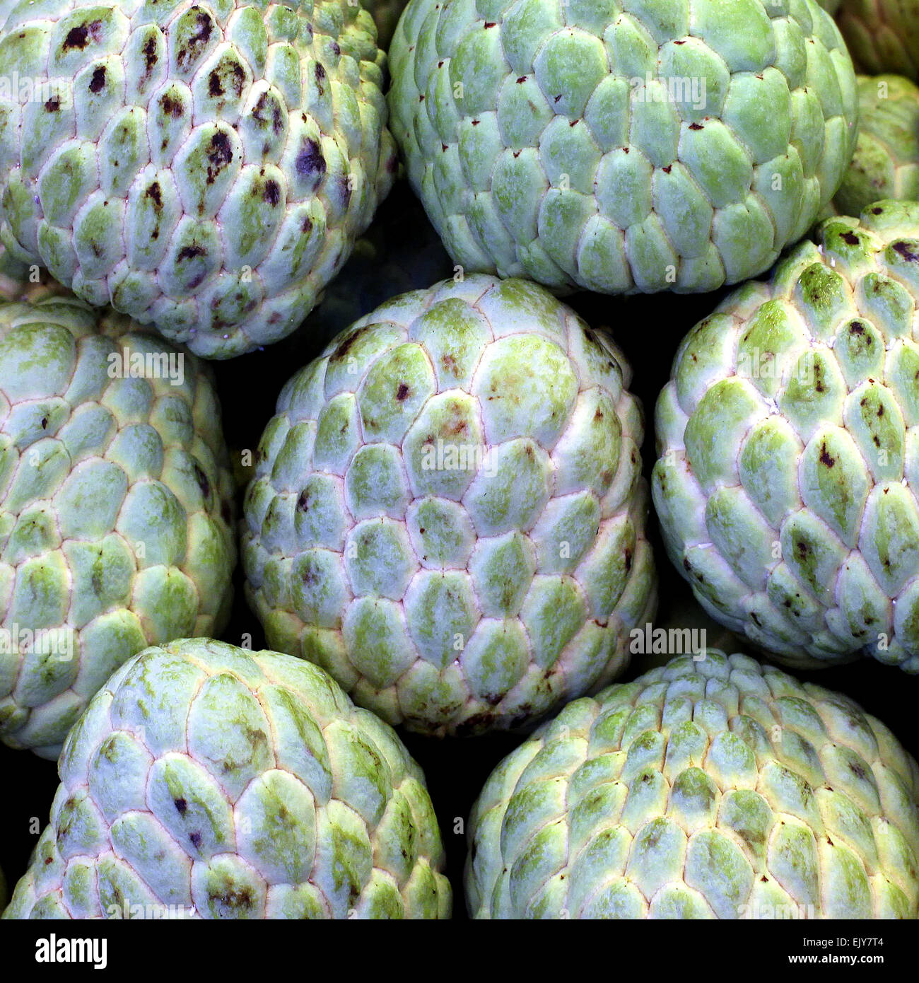 Many Sugar apples background or texture Stock Photo - Alamy