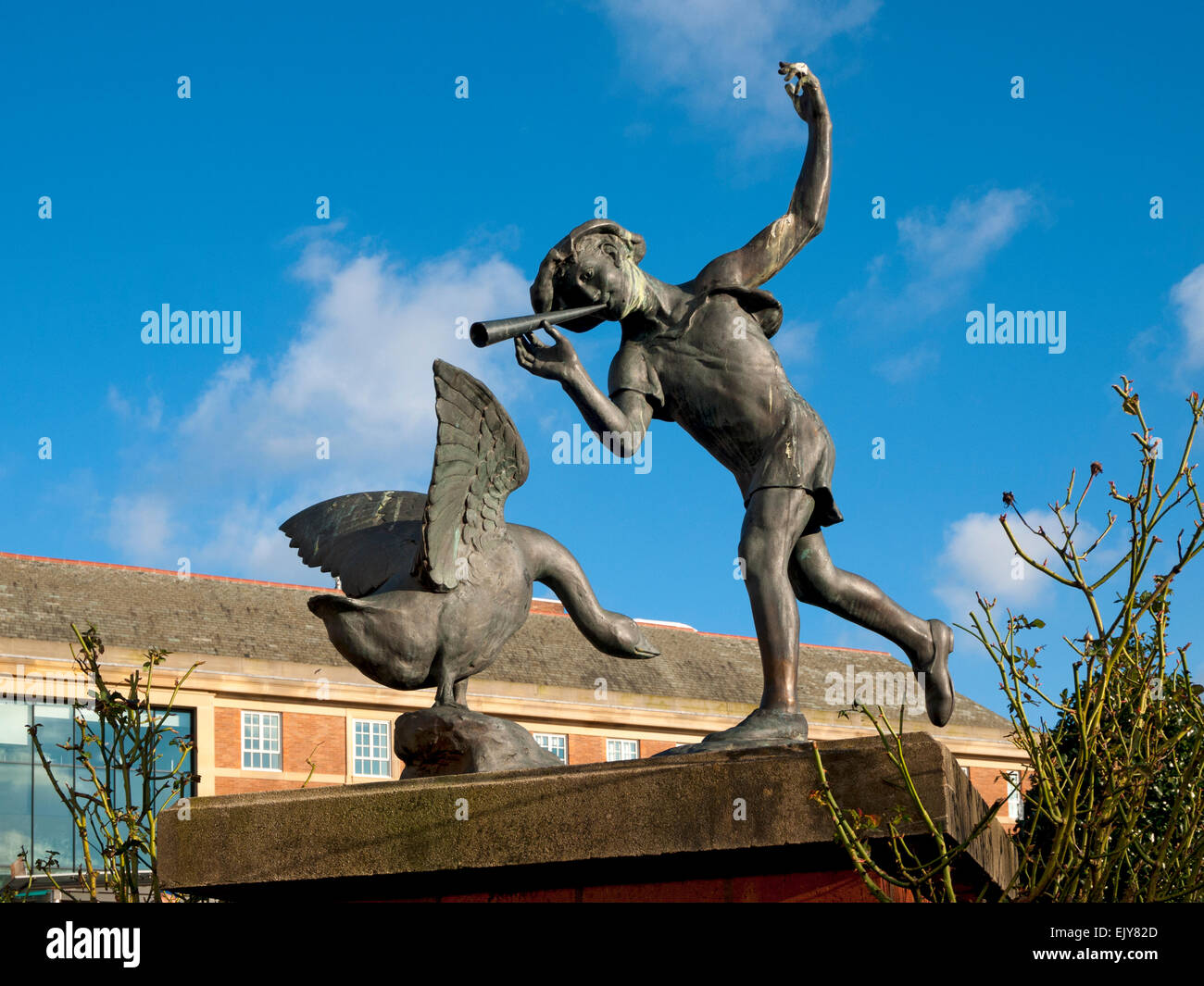 Outdoor goose hi-res stock photography and images - Alamy