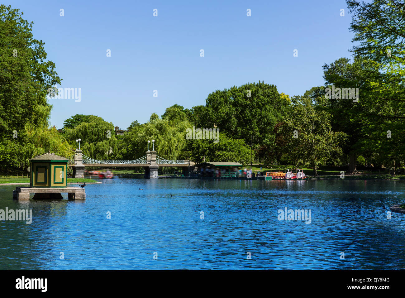 Boston Common public garden lake in Massachusetts USA Stock Photo - Alamy