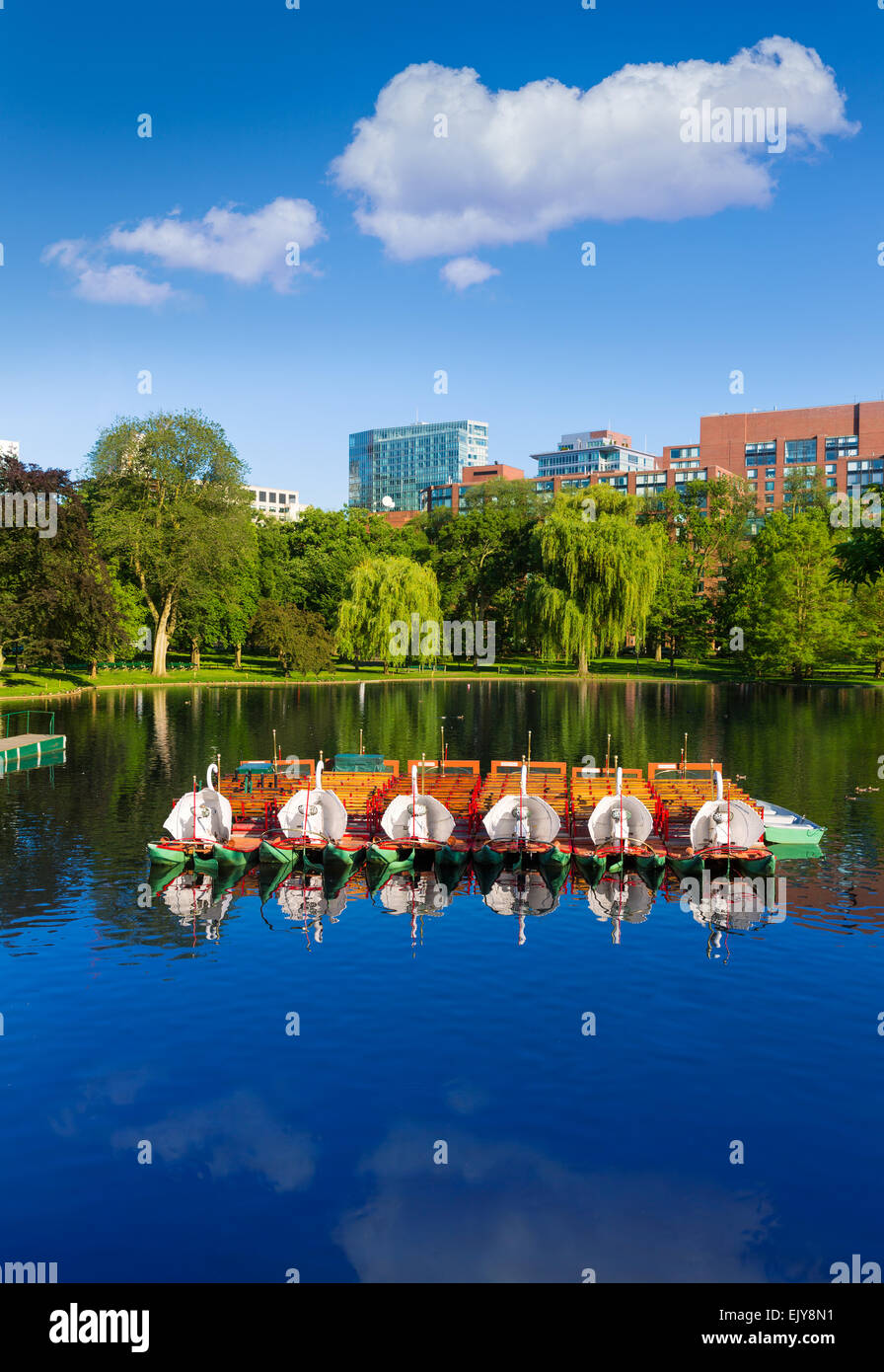 Boston public garden swan boats hi-res stock photography and images - Alamy