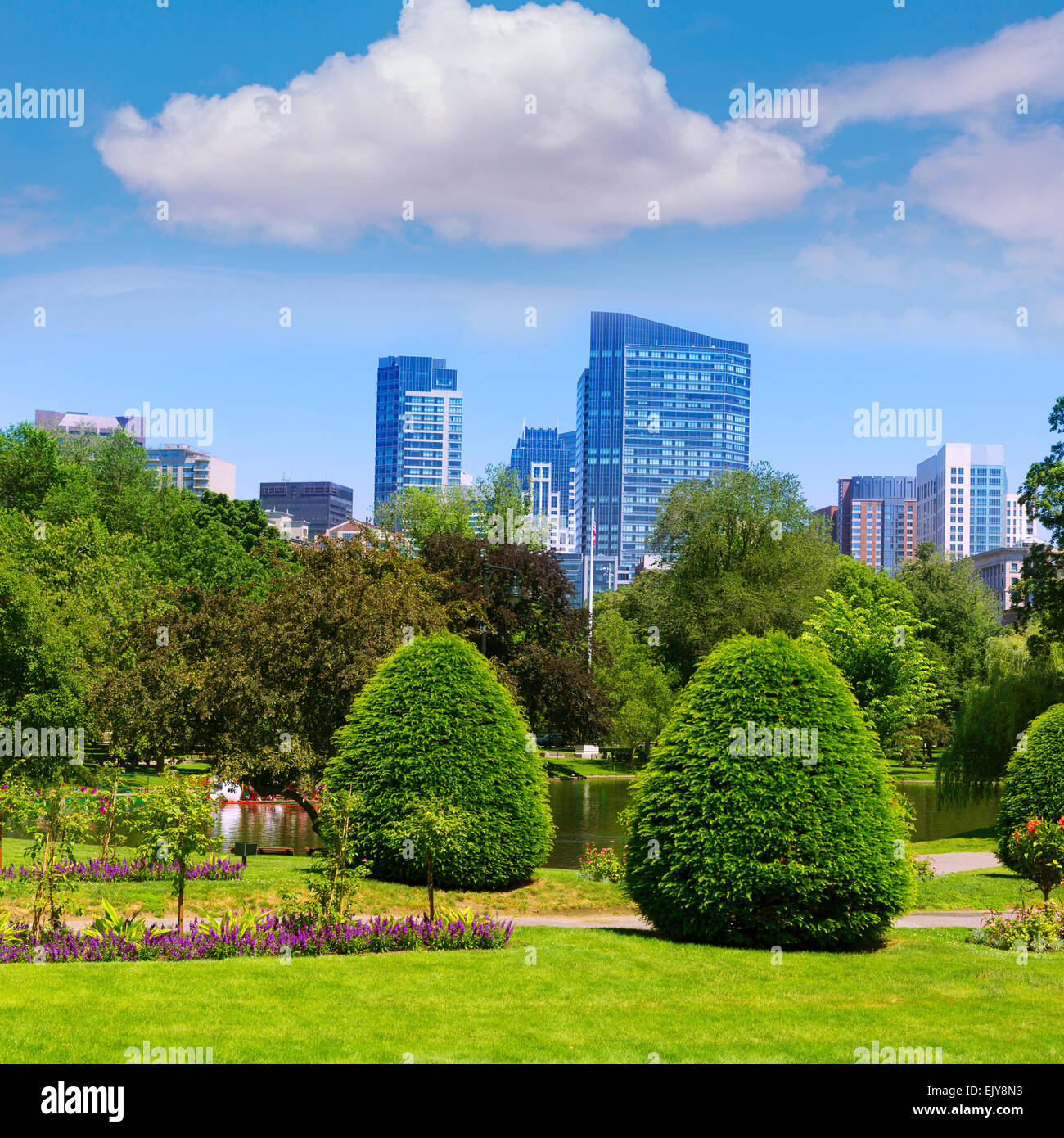 Boston common public gardens hi-res stock photography and images - Alamy