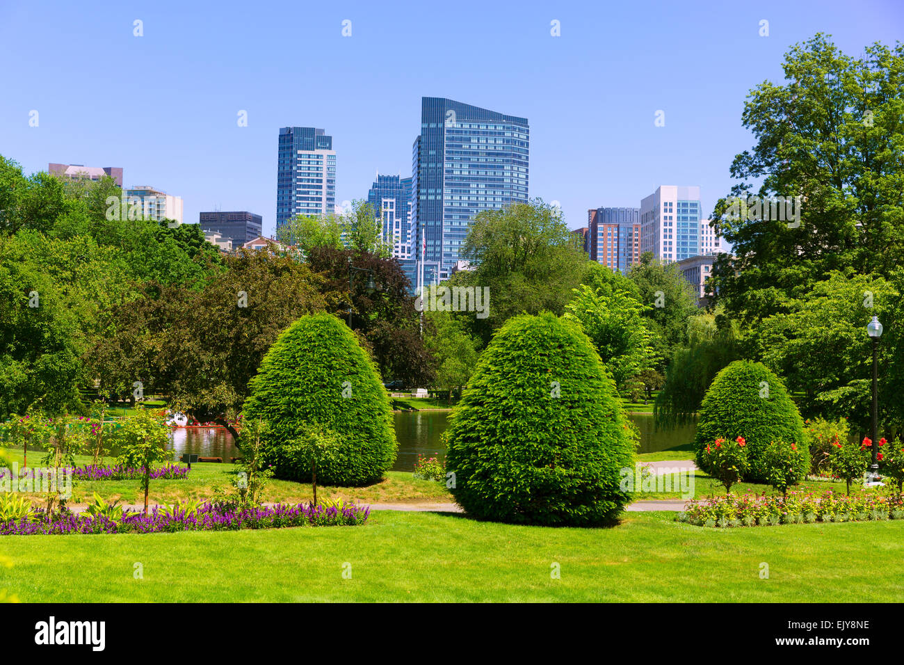 Boston common park hi-res stock photography and images - Alamy