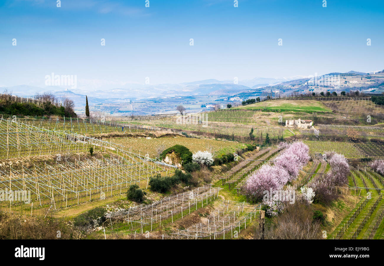 On hills in spring hi-res stock photography and images - Alamy