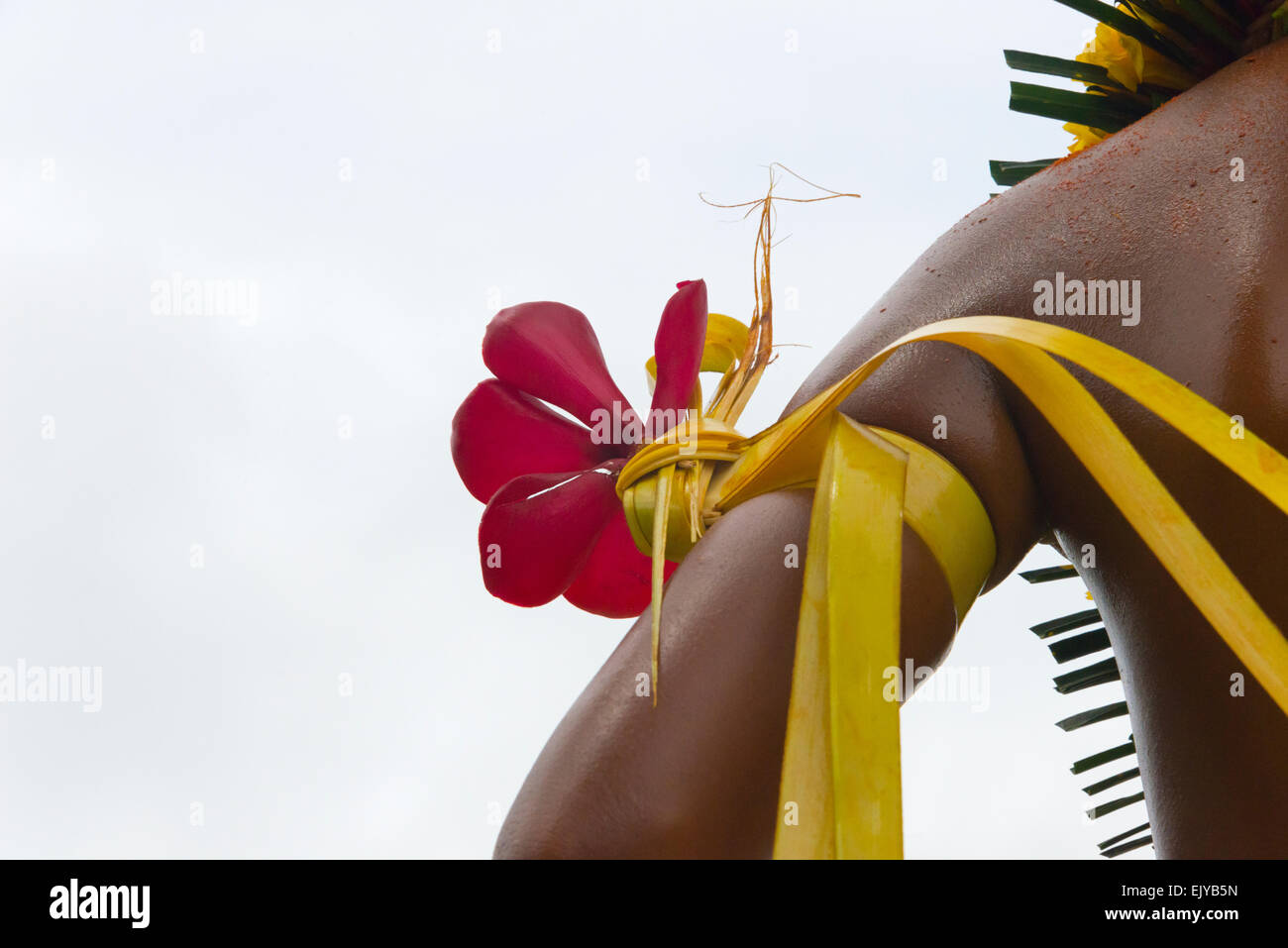 Yapese man in traditional clothing at Yap Day Festival, Yap Island ...