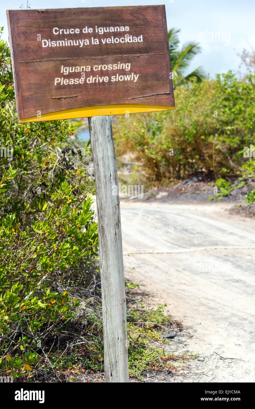 Iguana Crossing sign on Isabela Island in the Galapagos Islands in ...