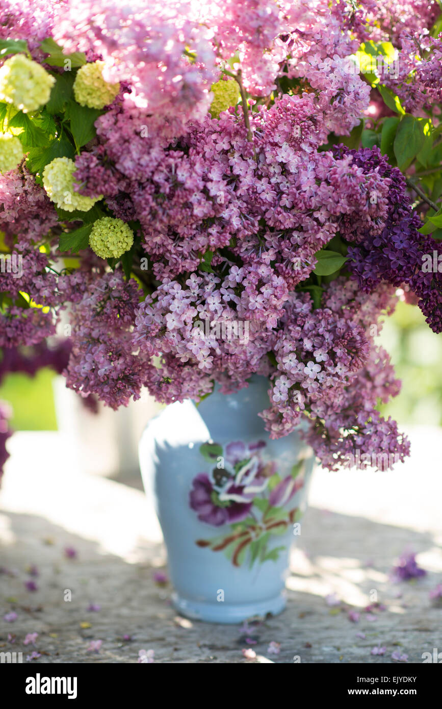 Cut lilacs, Syringa vulgaris, in vintage metal pitcher Stock Photo - Alamy