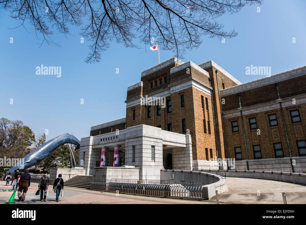 National Museum of Nature and Science,Taito-Ku,Tokyo,Japan Stock Photo ...