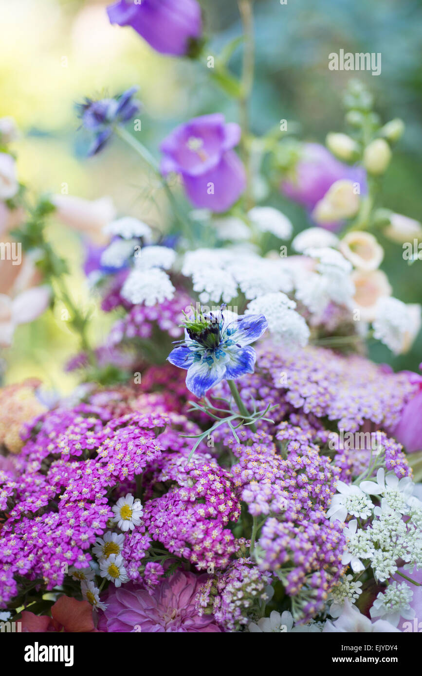 Summer bouquet with achillea (yarrow), campanula, dahlia, feverfew ...