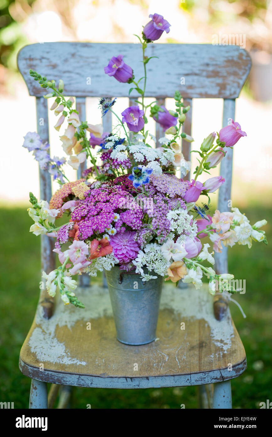Feverfew pink High Resolution Stock Photography and Images - Alamy