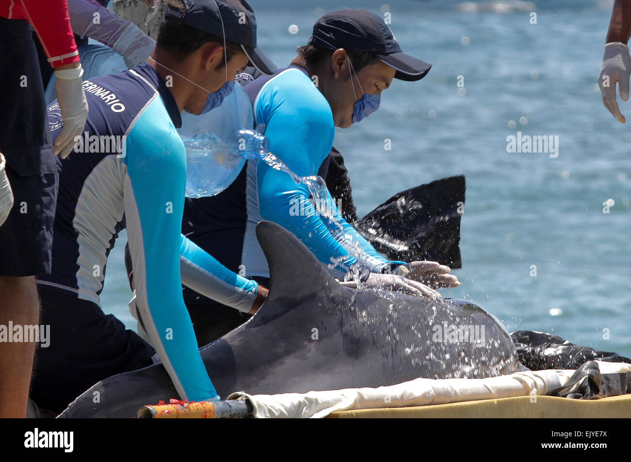 Kidney ultrasound hi-res stock photography and images - Alamy