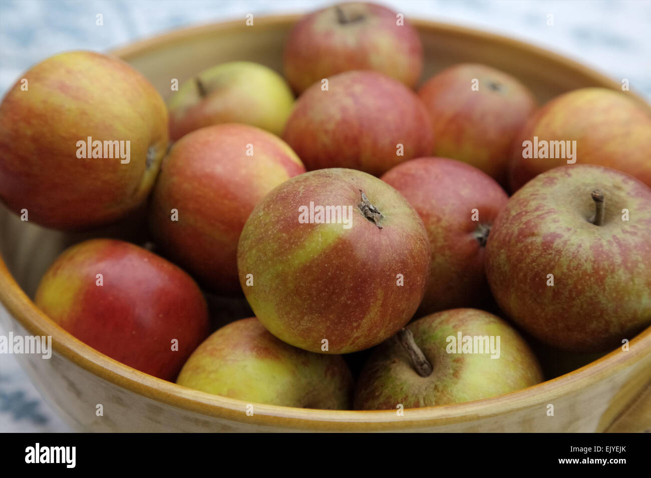 Malus domestica 'Coxs Orange Pippin' - a bowl of eating apples Stock ...